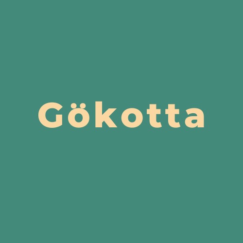 Toko Online GOKOTTA Official Store | Shopee Indonesia