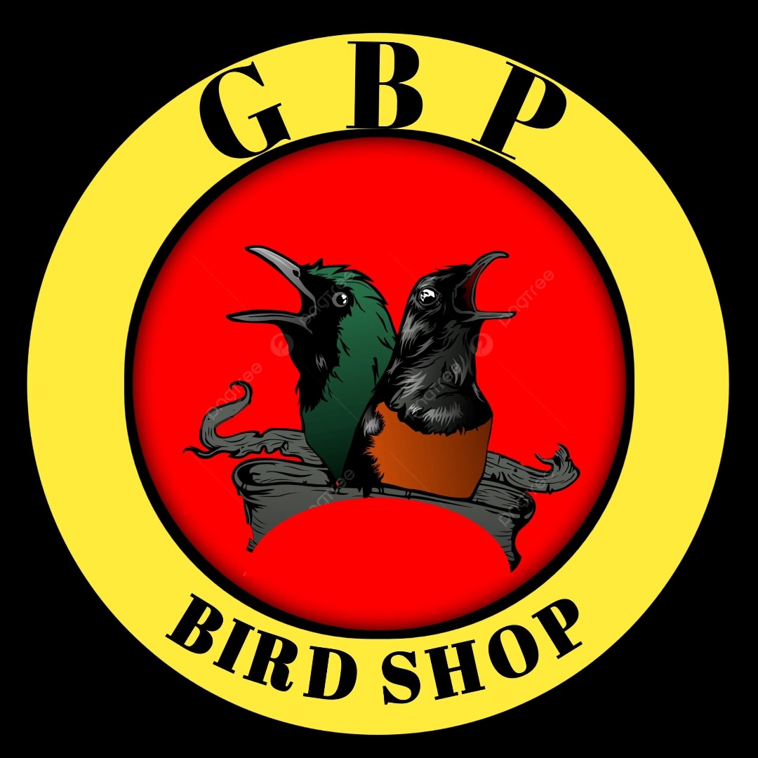 Produk GBP_bird_shop | Shopee Indonesia