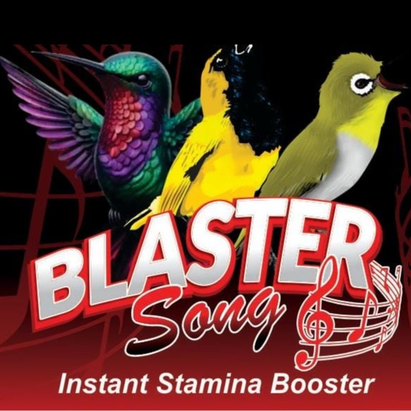 Produk Blaster Bird Shop | Shopee Indonesia
