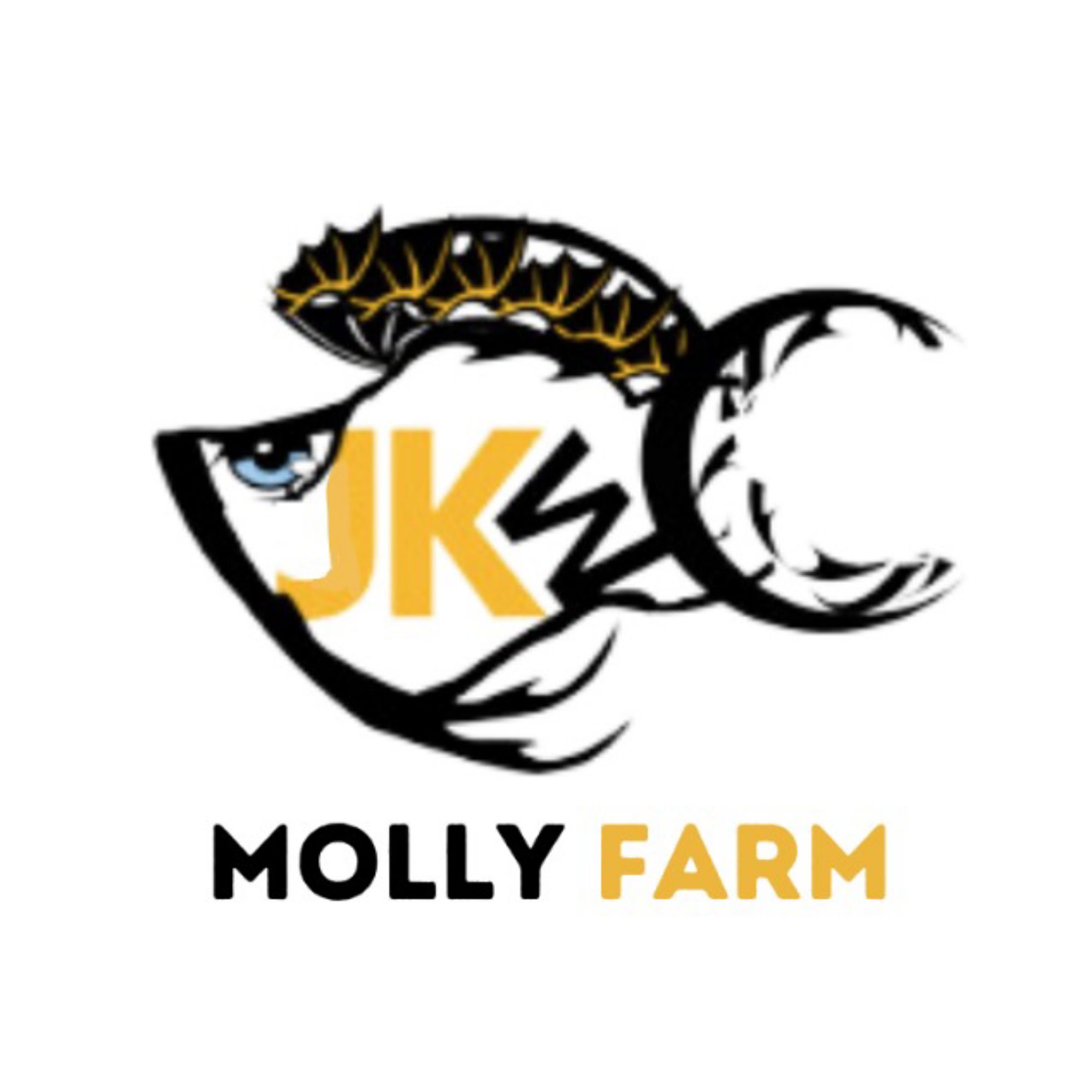 Produk JKW MOLLY FARM | Shopee Indonesia