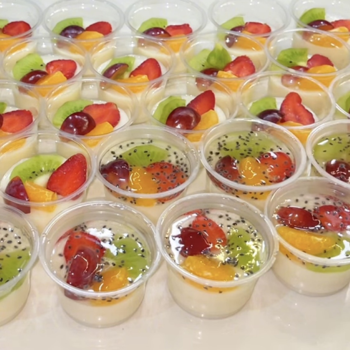 Produk Puding Casnzo | Shopee Indonesia