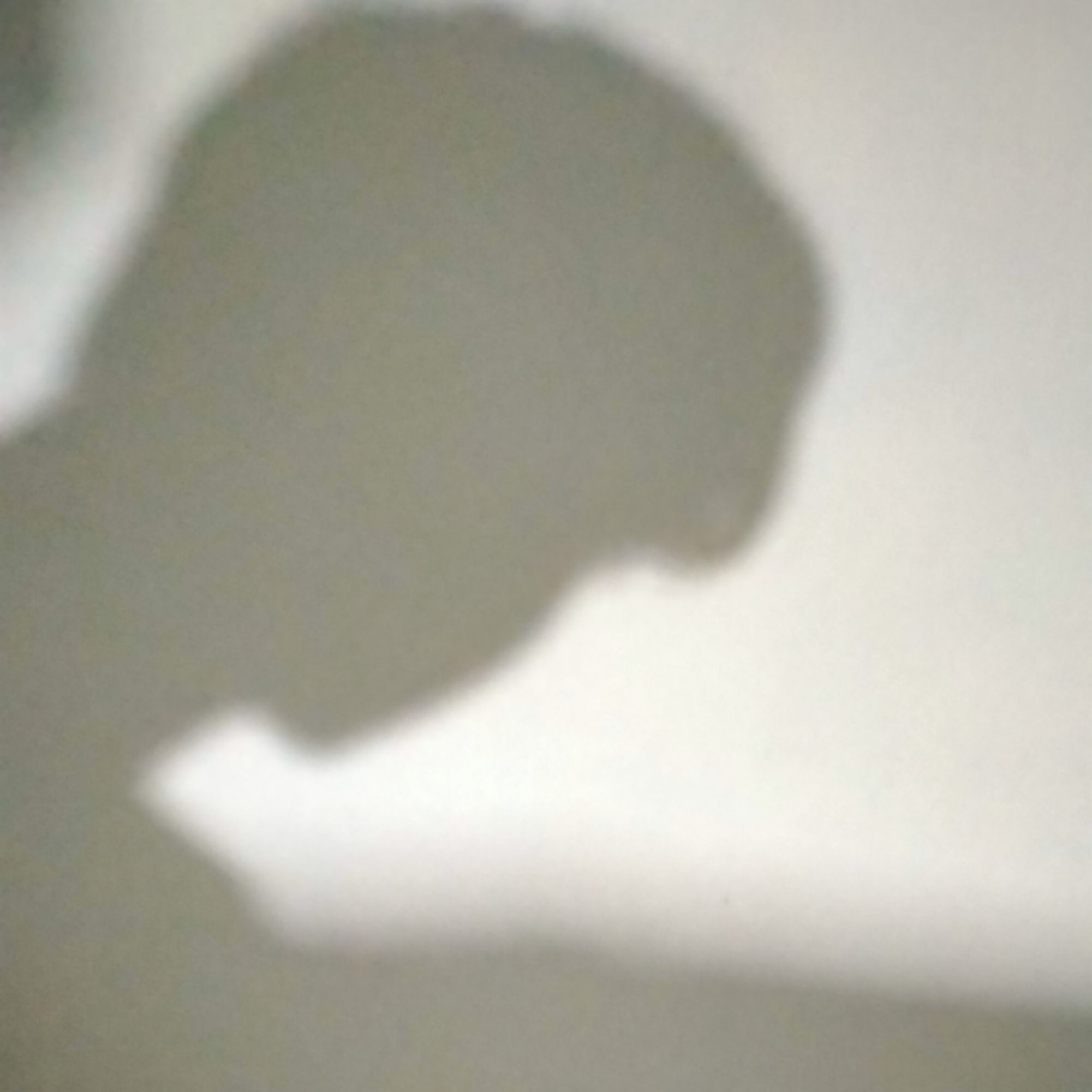 Produk Rio AA | Shopee Indonesia