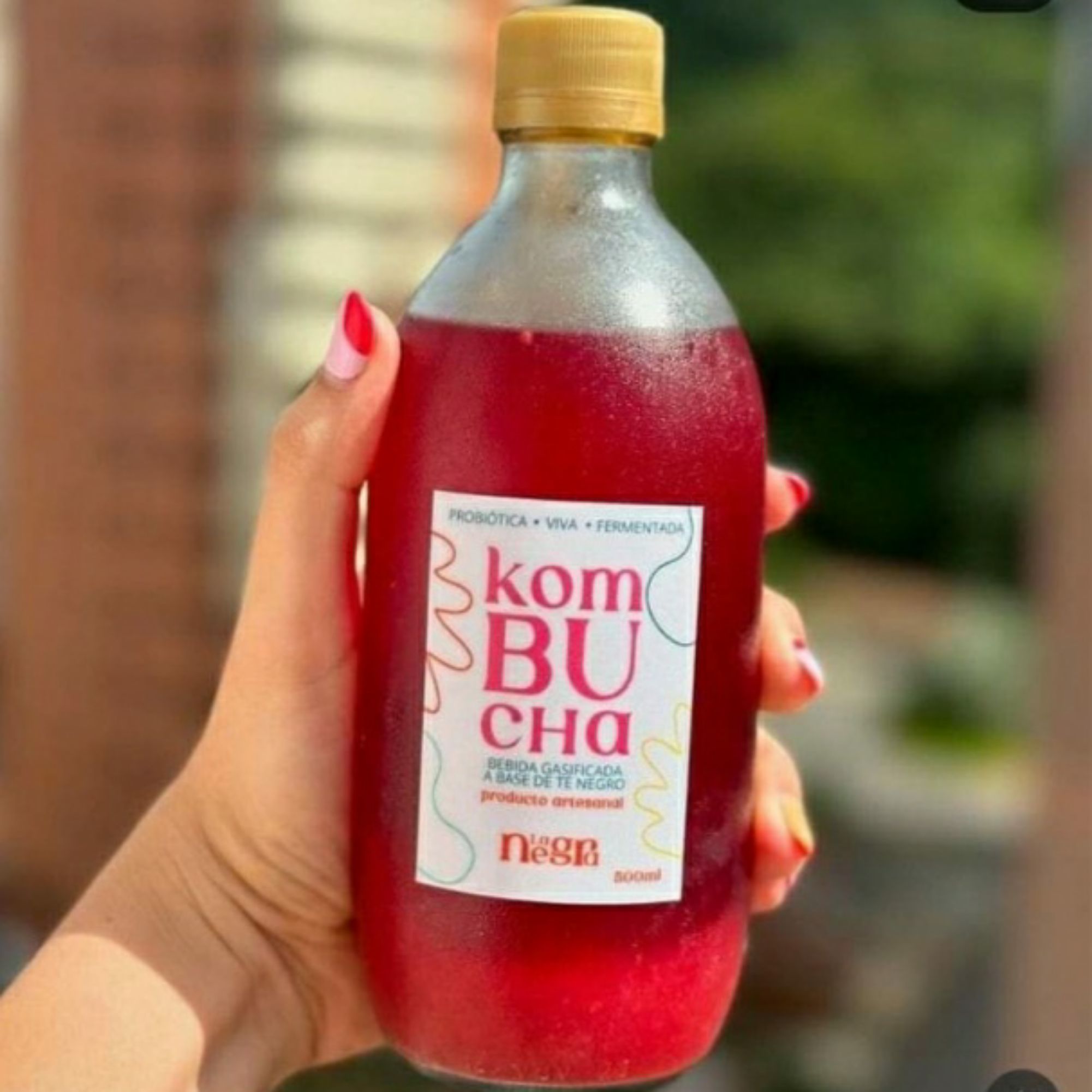 Produk kombucha hafana | Shopee Indonesia
