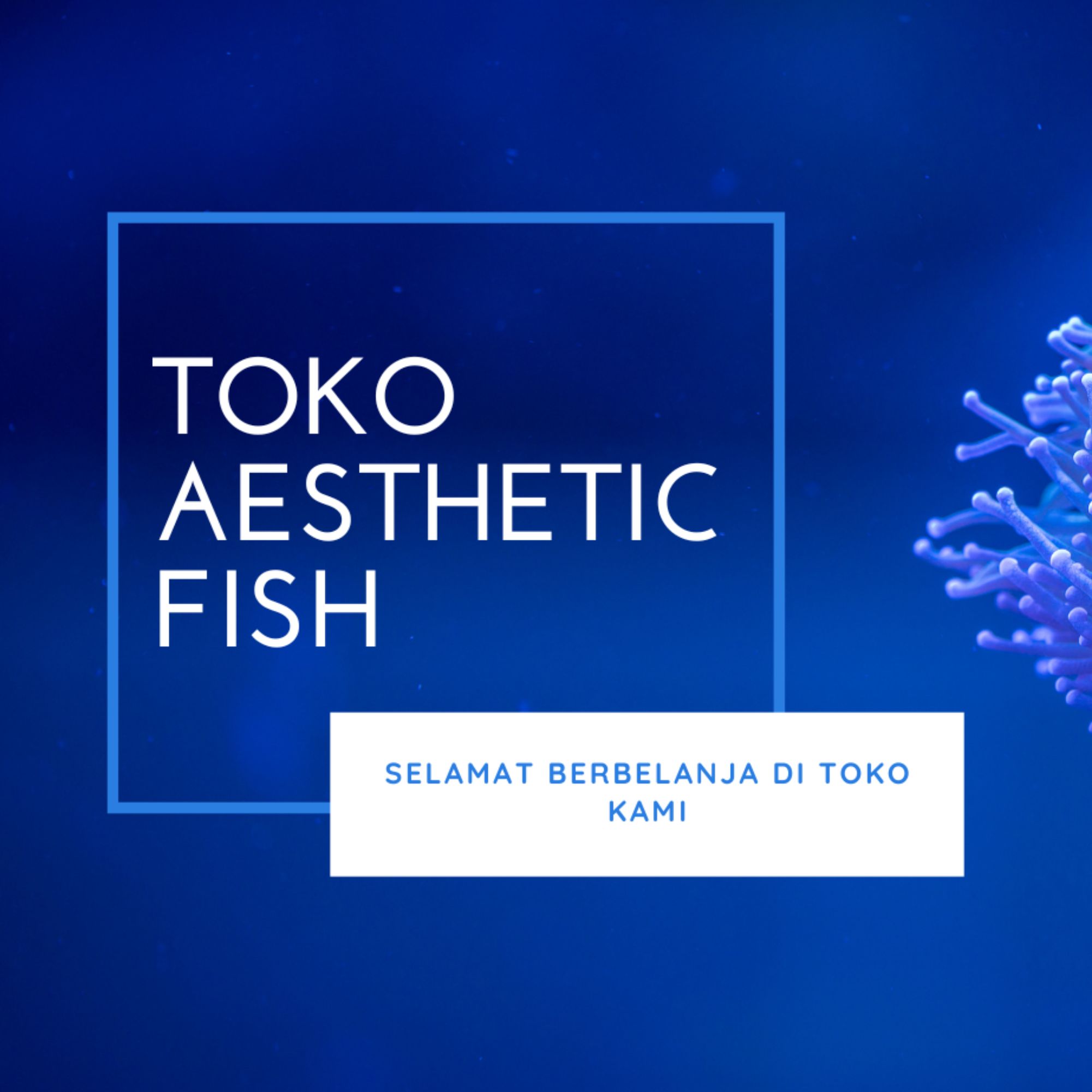 Produk Aesthetic_Fish | Shopee Indonesia