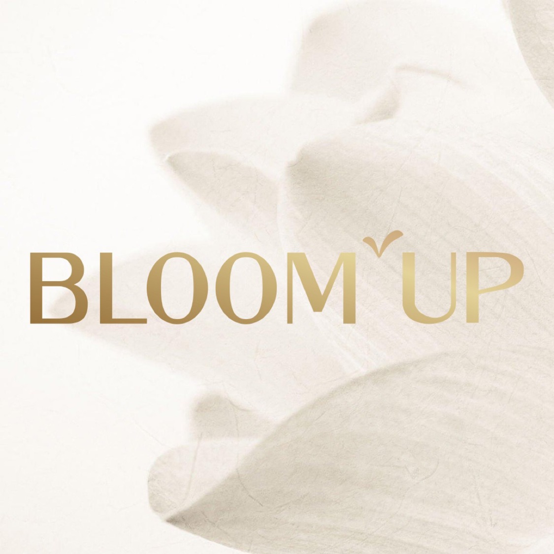 Toko Online BLOOM UP Official Store | Shopee Indonesia