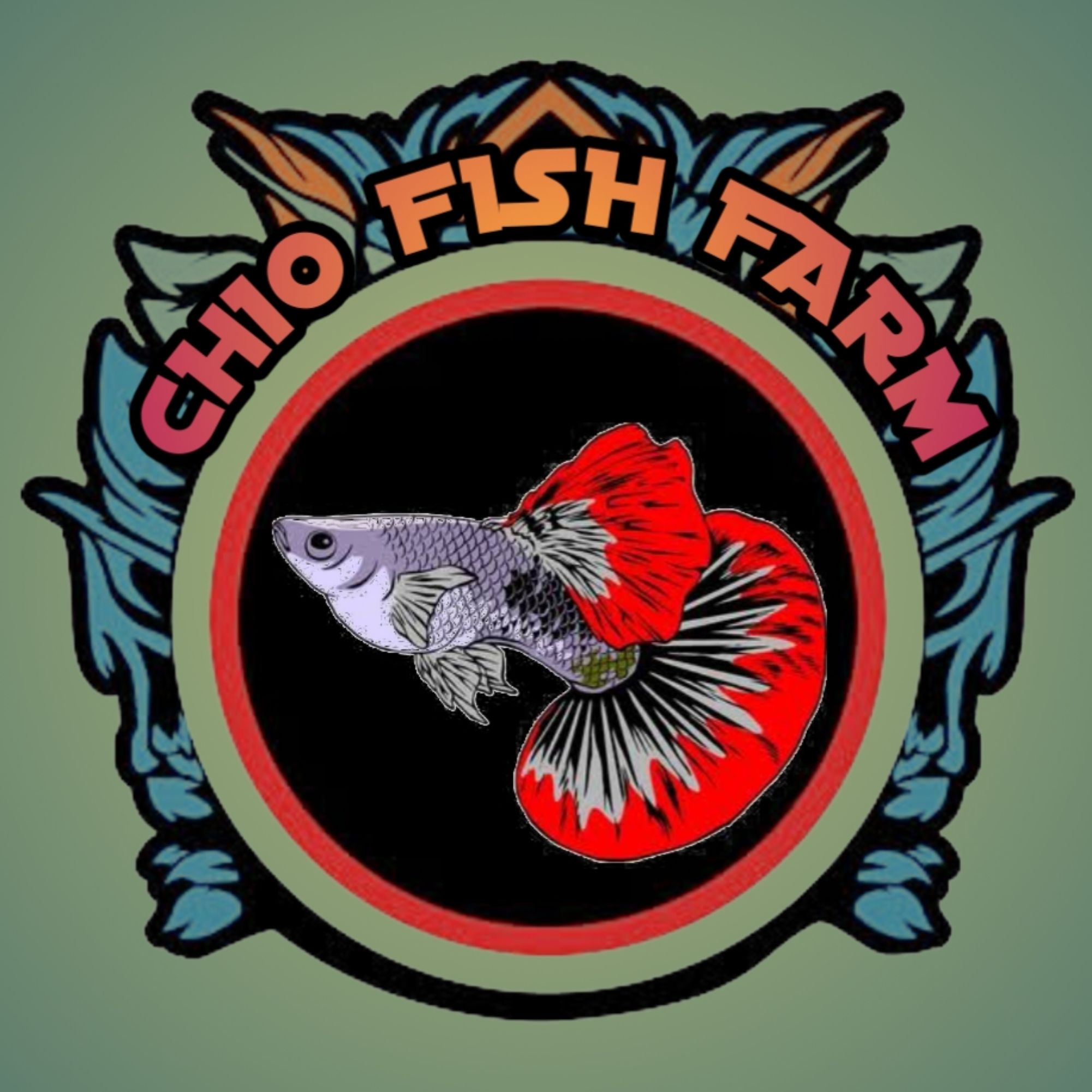 Produk Chio fish farm 2 | Shopee Indonesia