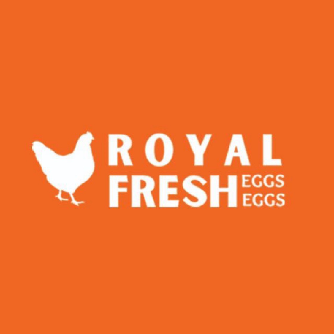 Produk ROYAL FRESH EGG | Shopee Indonesia