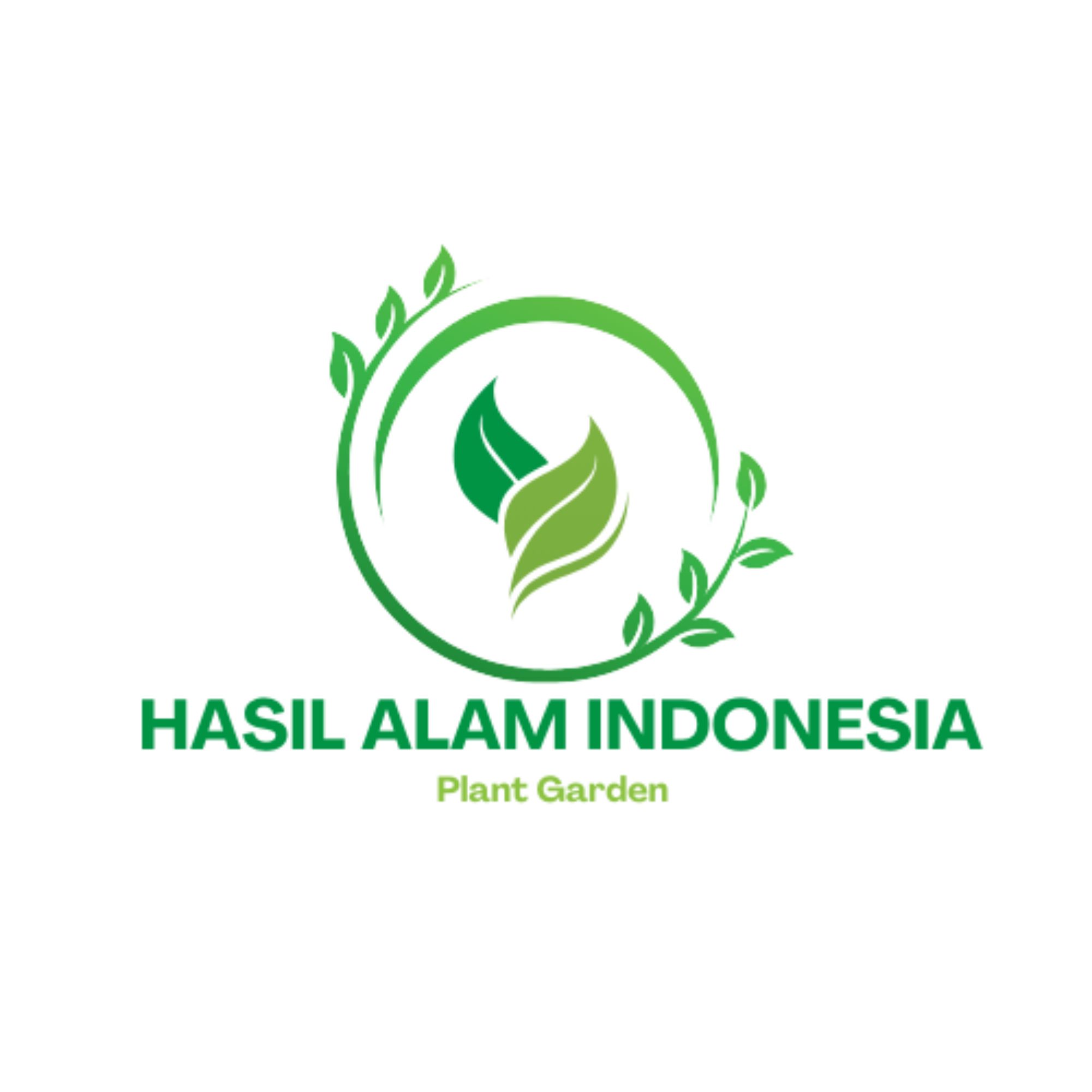 Produk Hasil Alam Indonesiaa | Shopee Indonesia