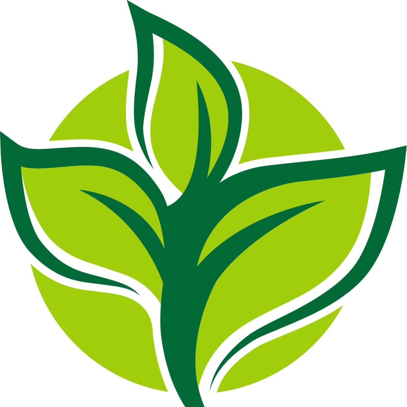 Produk Cleo.Farm | Shopee Indonesia