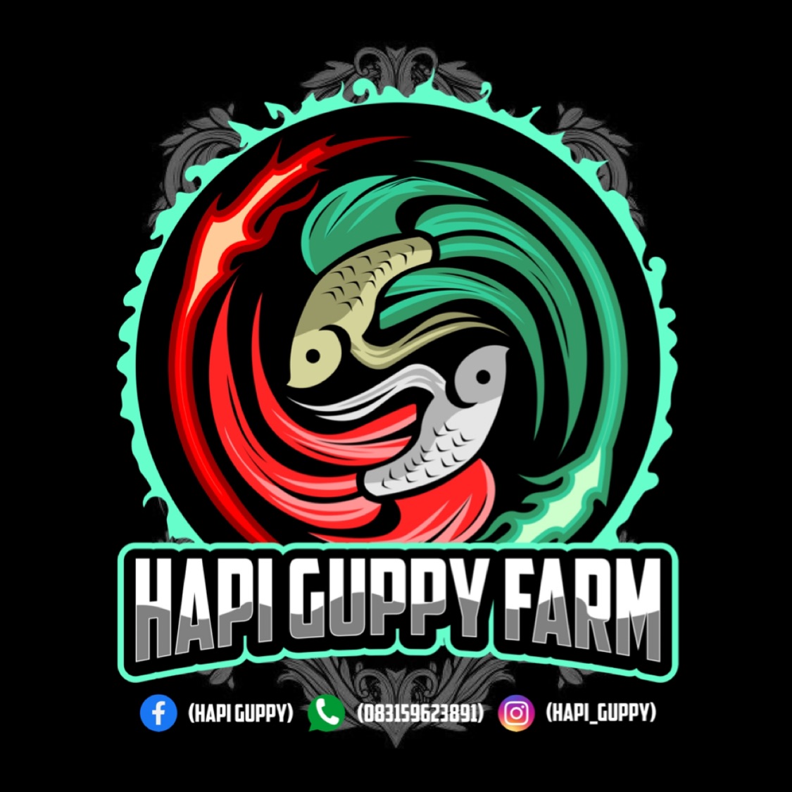 Produk Hapi Guppy | Shopee Indonesia