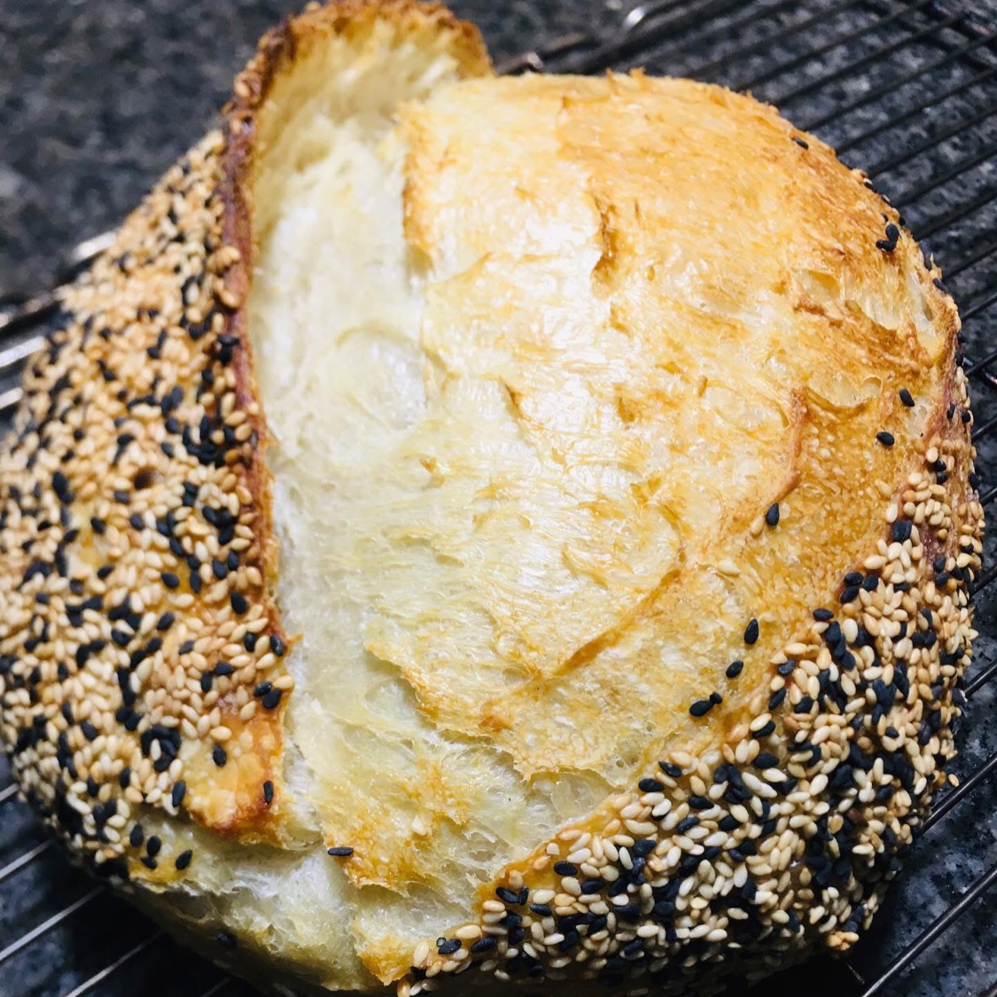 Produk Wina Artisan Bakery | Shopee Indonesia