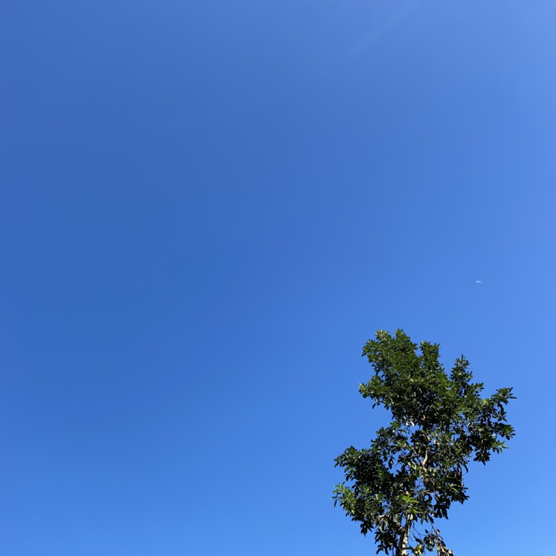 Produk Toko Sarcel | Shopee Indonesia