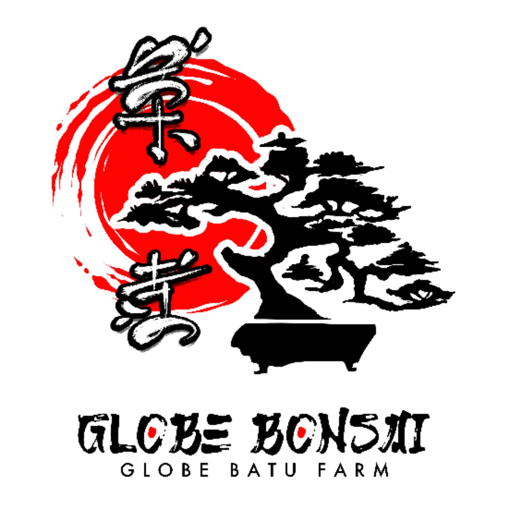 Produk GLOBE BATU BONSAI | Shopee Indonesia