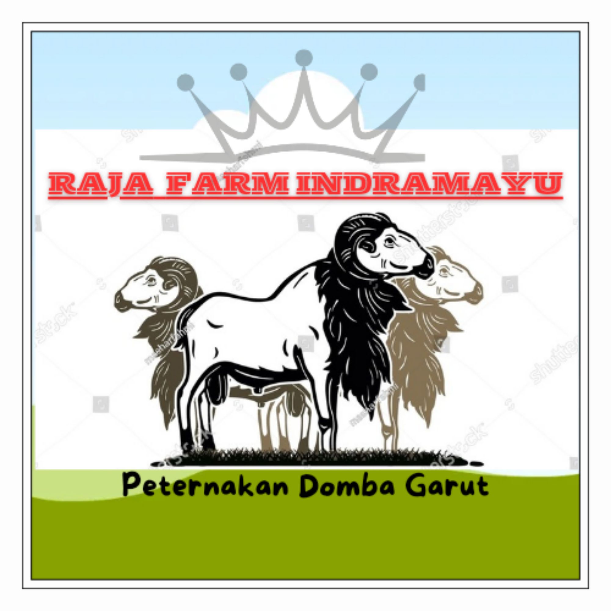 Produk RAJA FARM STORE | Shopee Indonesia