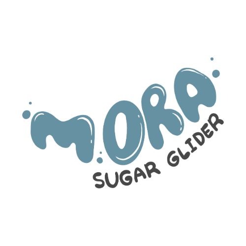 Produk MORA Sugar Glider Shop | Shopee Indonesia