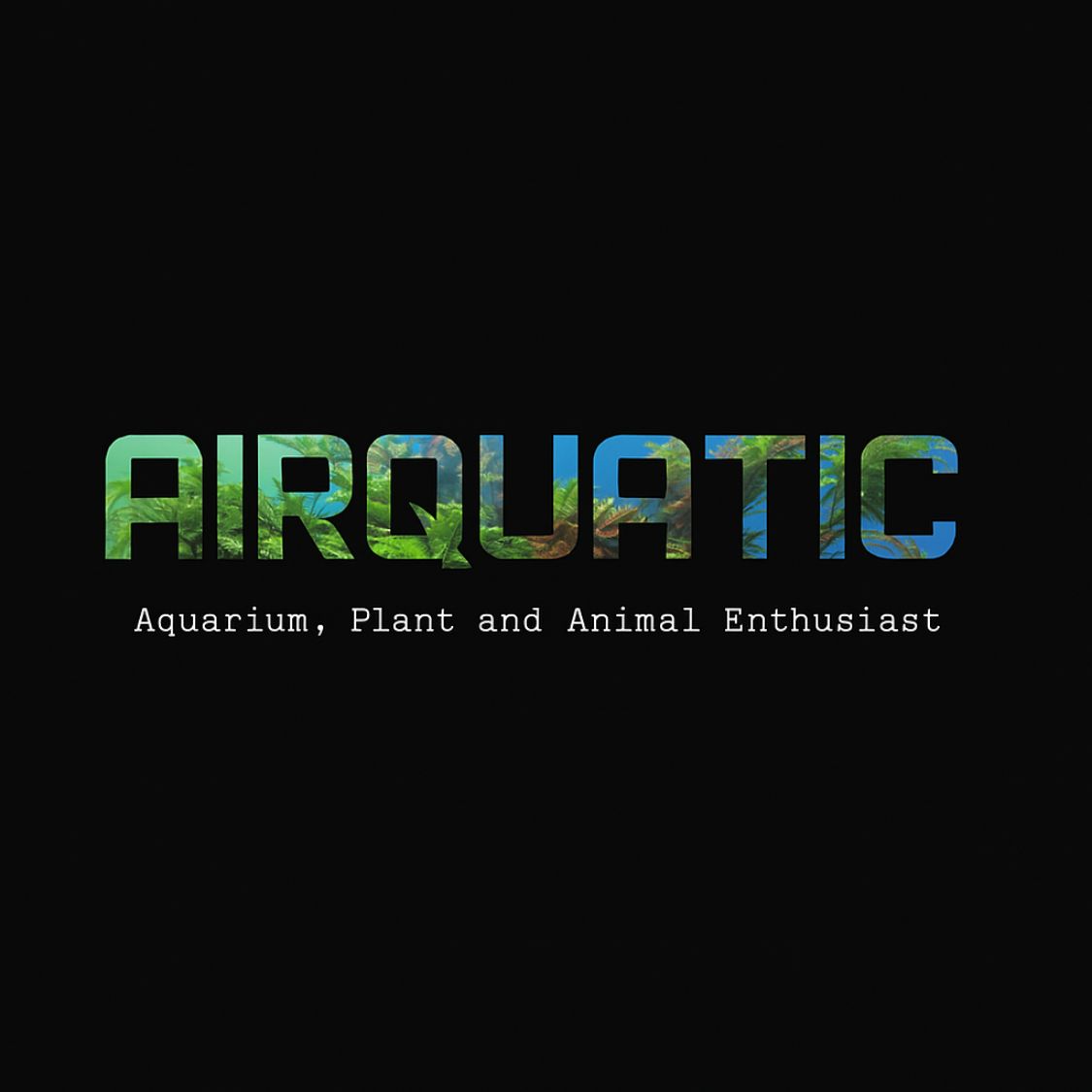 Produk Airquatic. | Shopee Indonesia