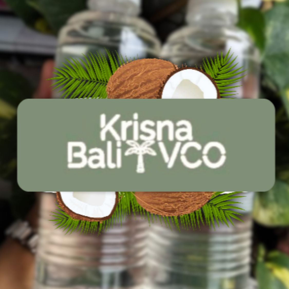 Produk Krisna Bali VCO | Shopee Indonesia
