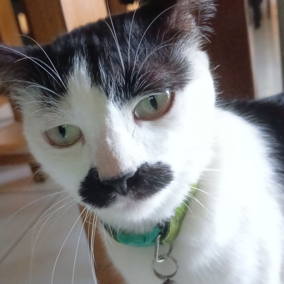 Produk CEA STORE | Shopee Indonesia