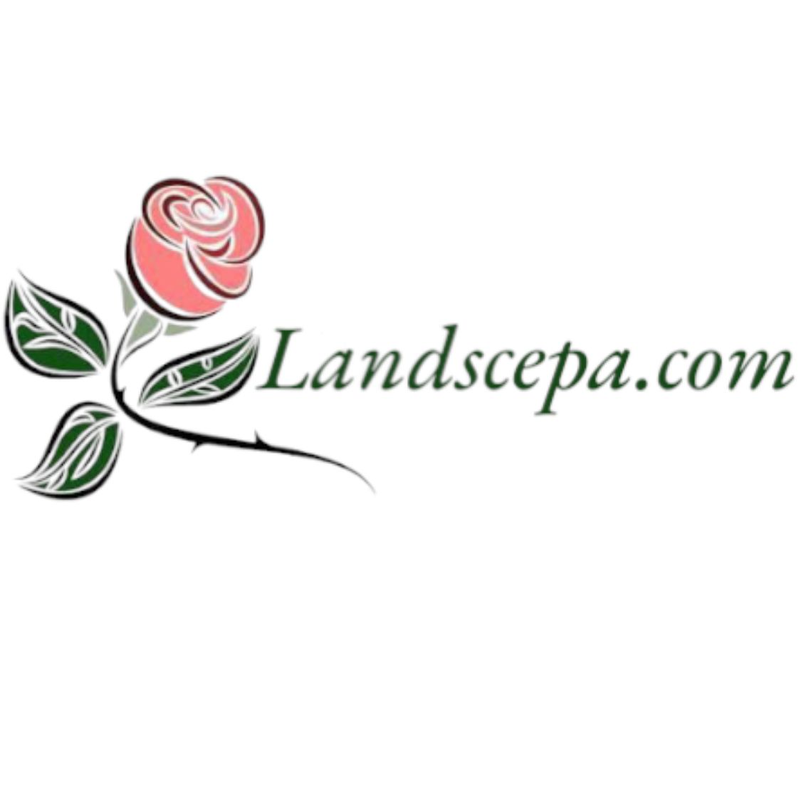 Produk Landscape.com | Shopee Indonesia