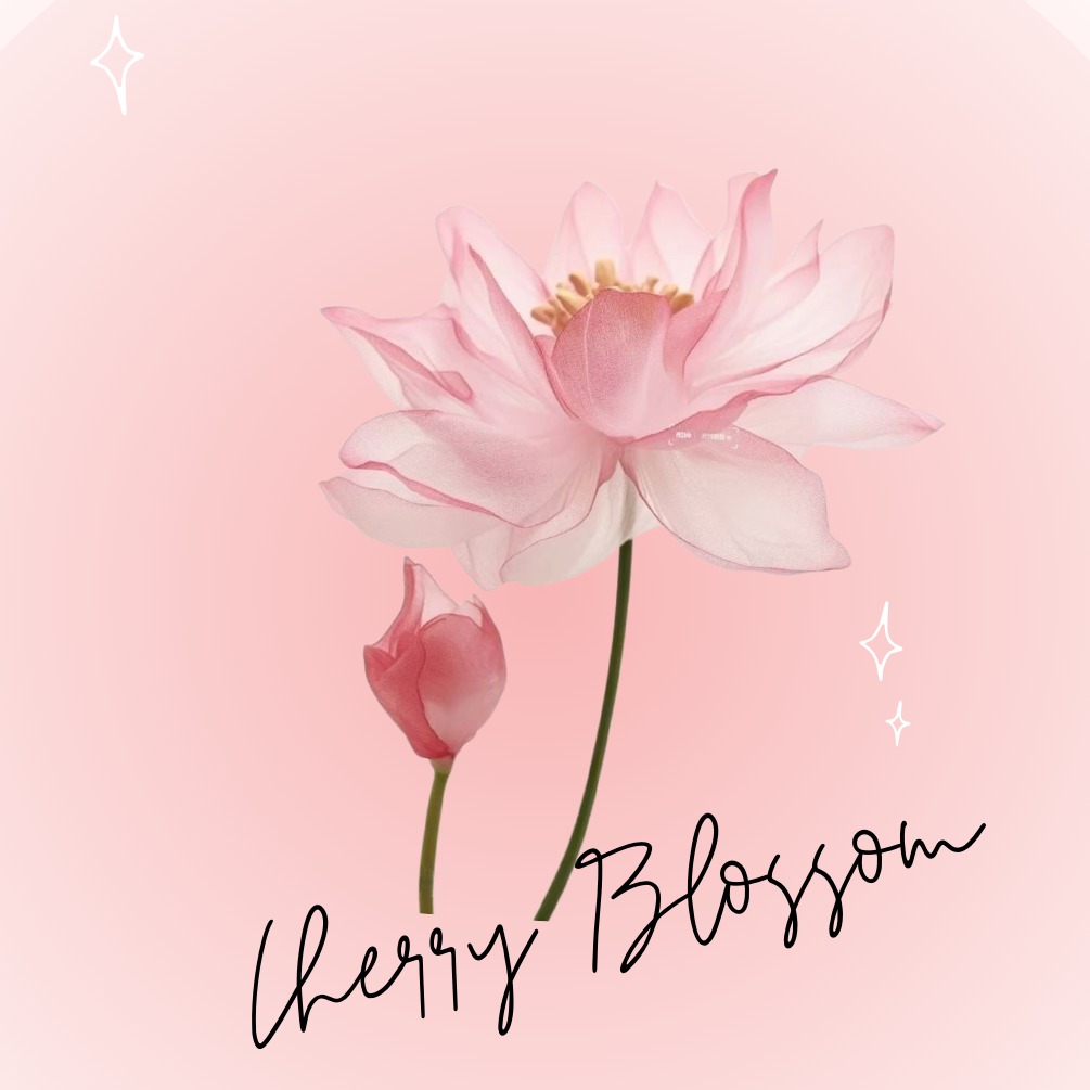 Produk Cherry diary | Shopee Indonesia