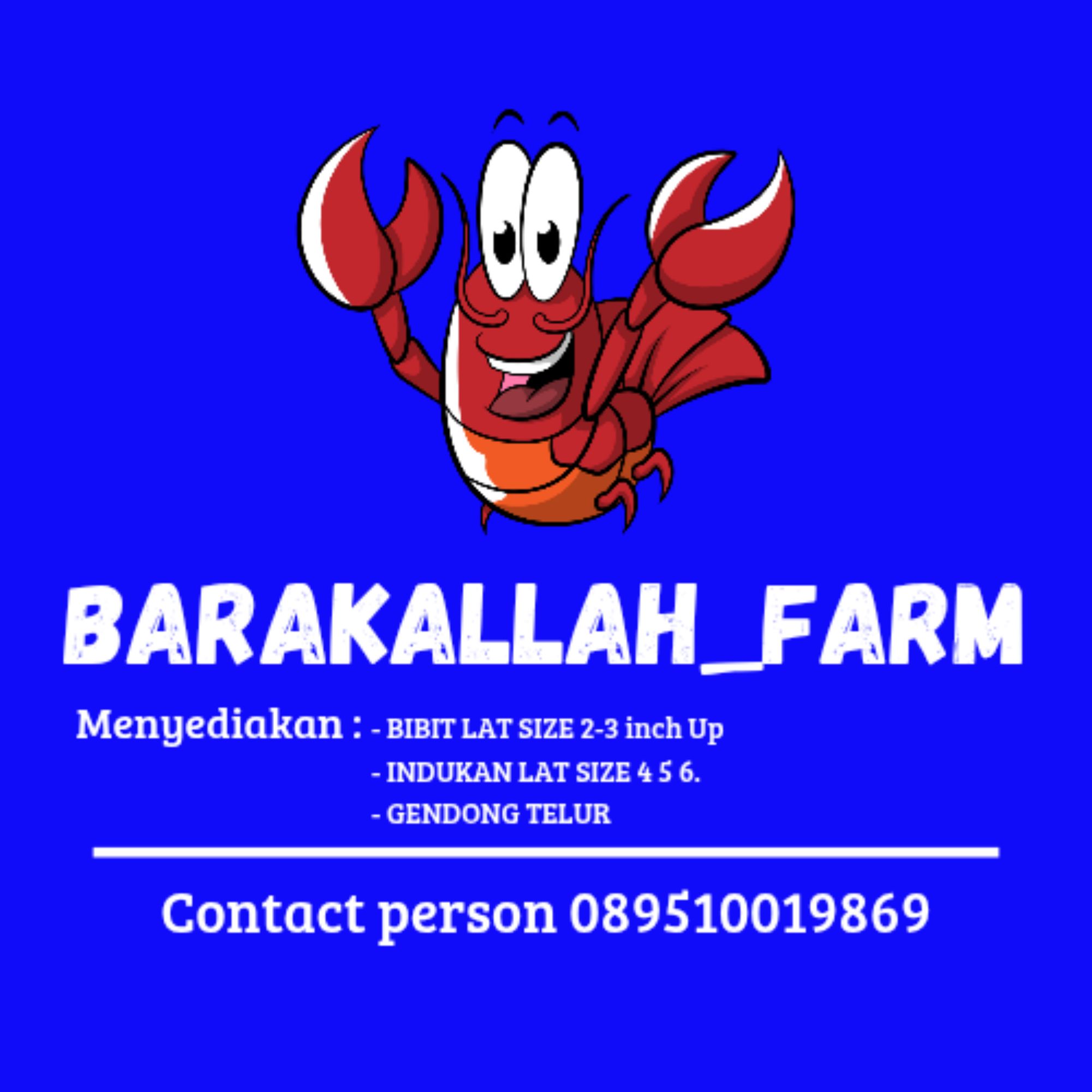 Produk Barakallah_Farm | Shopee Indonesia
