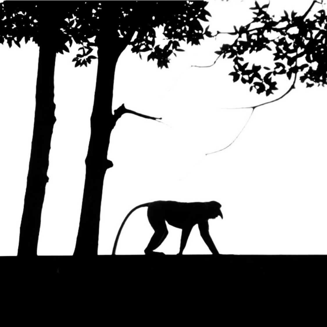 Produk Kang_Sis | Shopee Indonesia