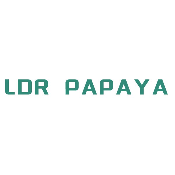 Toko Online LDR PAPAYA Official Store | Shopee Indonesia