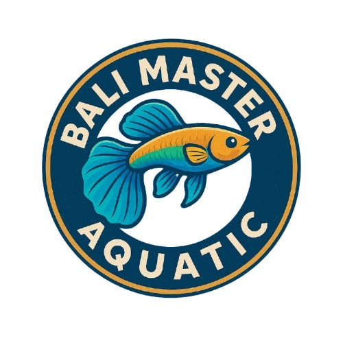 Produk Bali Master Aquatic | Shopee Indonesia
