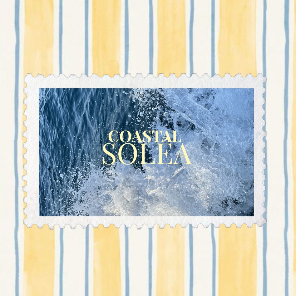 Produk Coastal Soléa | Shopee Indonesia