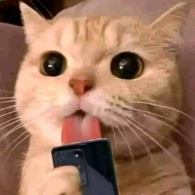 Produk SanRyu Store | Shopee Indonesia