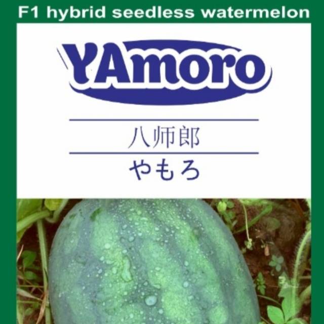 Produk YaMoro_Store | Shopee Indonesia