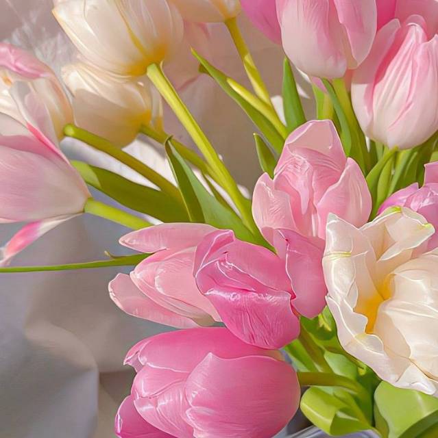 Produk LaBelle.Rooms | Shopee Indonesia