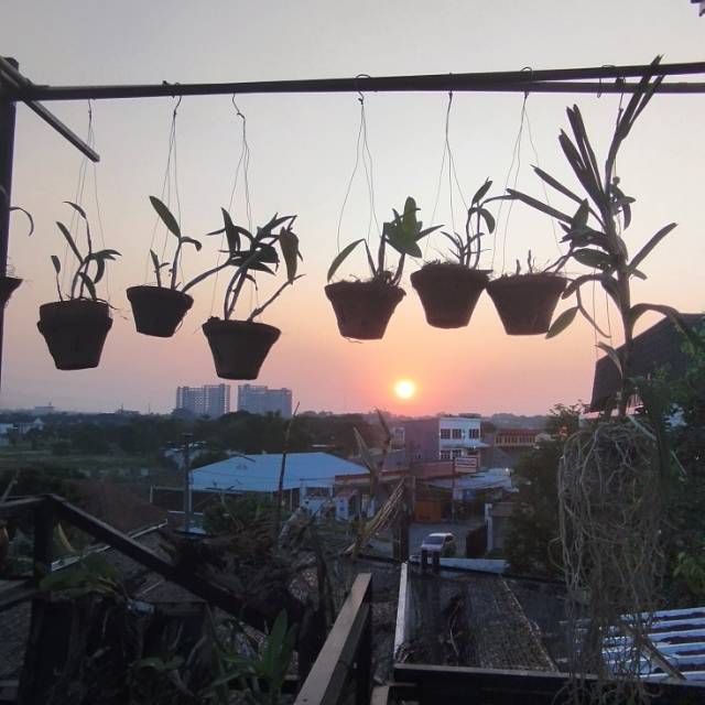 Produk vrdm_smg | Shopee Indonesia