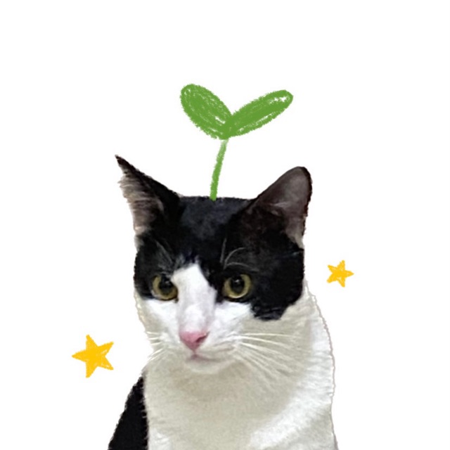 Produk BITZZY_ | Shopee Indonesia