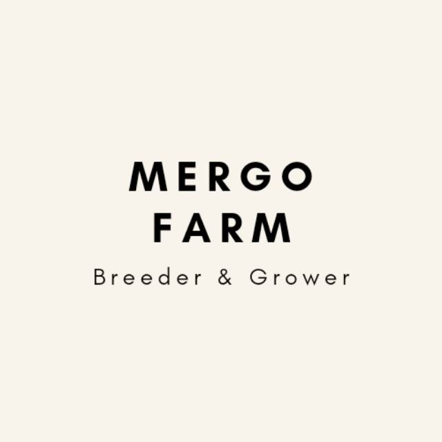 Produk Mergo Farm | Shopee Indonesia