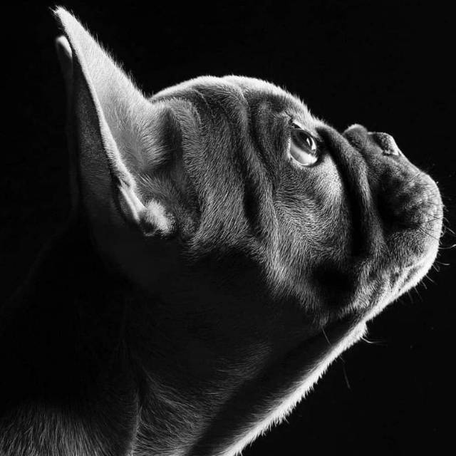 Produk Goopta Yy | Shopee Indonesia