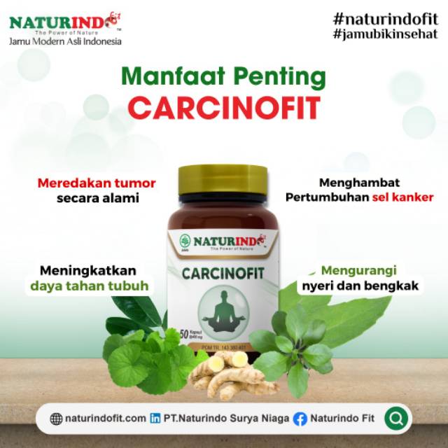 Produk Naturindo Tangerang Official | Shopee Indonesia