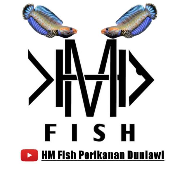 Produk Hm fish | Shopee Indonesia
