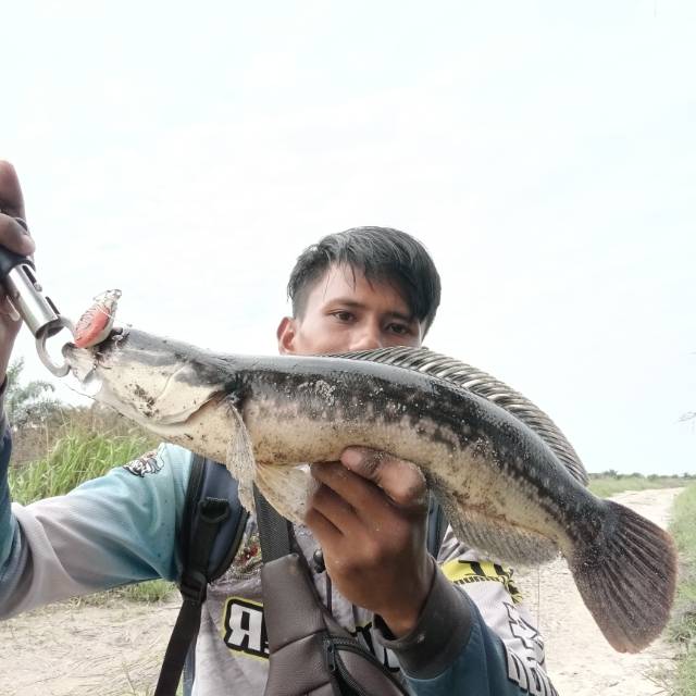 Produk CSP_Fishing | Shopee Indonesia