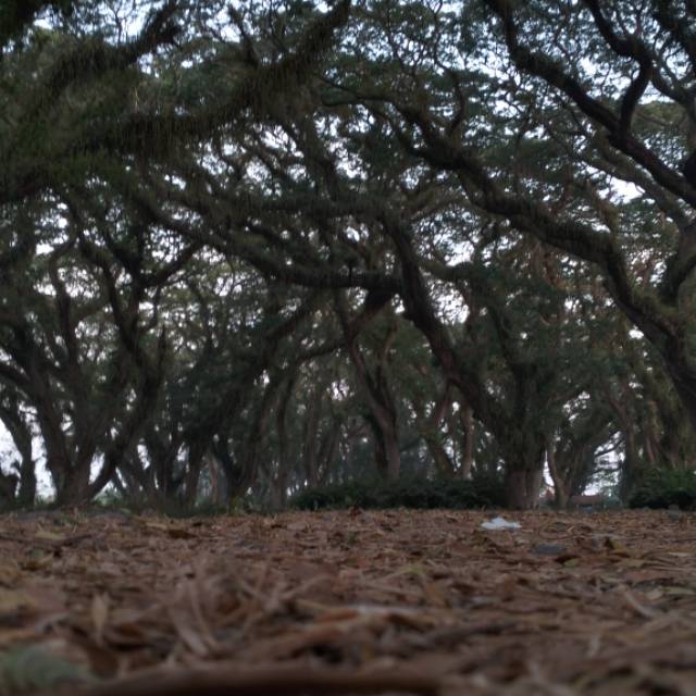 Produk BAKOEL-BAKULAN | Shopee Indonesia