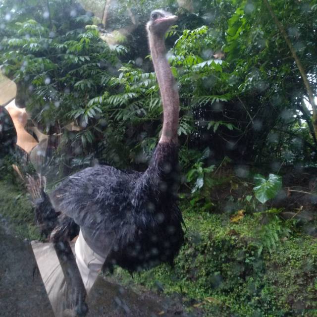 Produk Fenz_20 | Shopee Indonesia