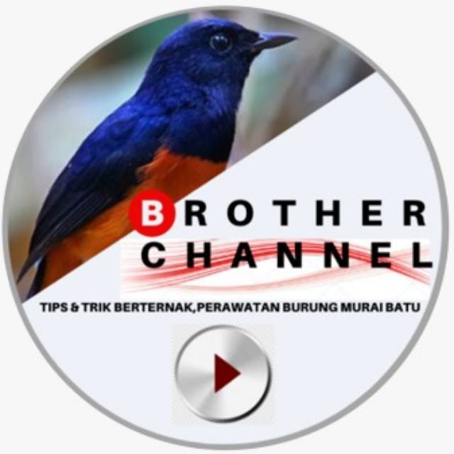 Produk Brother Channel Official Store | Shopee Indonesia