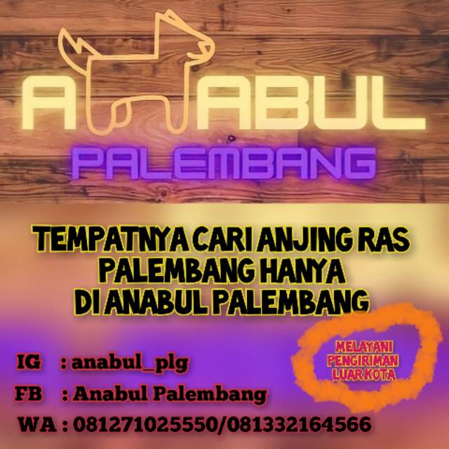 Produk Anabul_Palembang | Shopee Indonesia