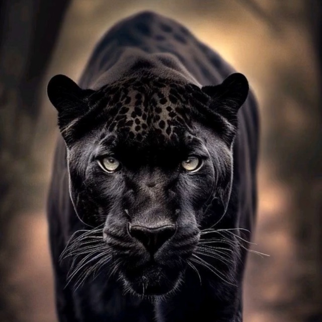 Produk 394_winaldo | Shopee Indonesia