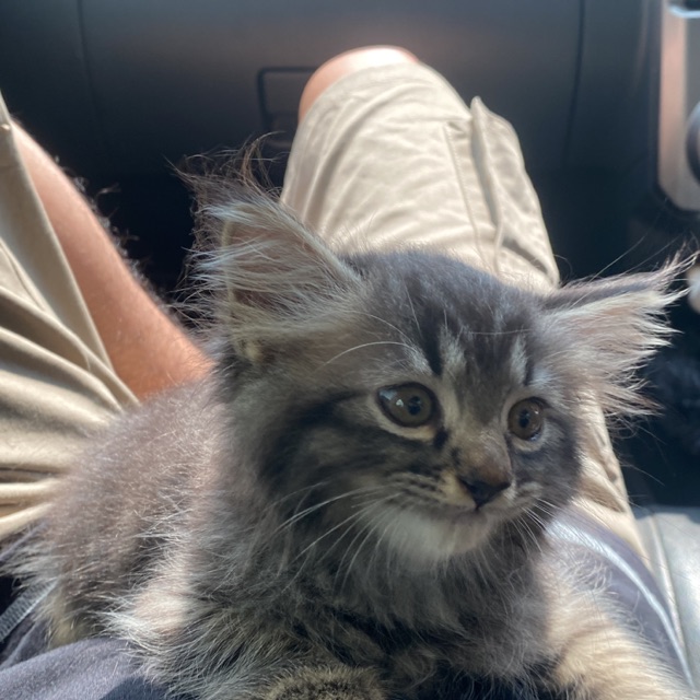 Produk llenn.sticker | Shopee Indonesia