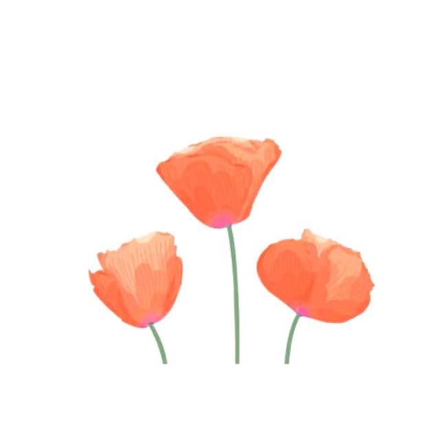 Produk Enha Sticker | Shopee Indonesia