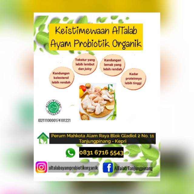 Produk AlTalab Ayam Probiotik Organik | Shopee Indonesia