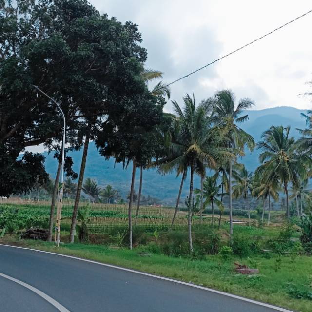 Produk Inasa Official | Shopee Indonesia