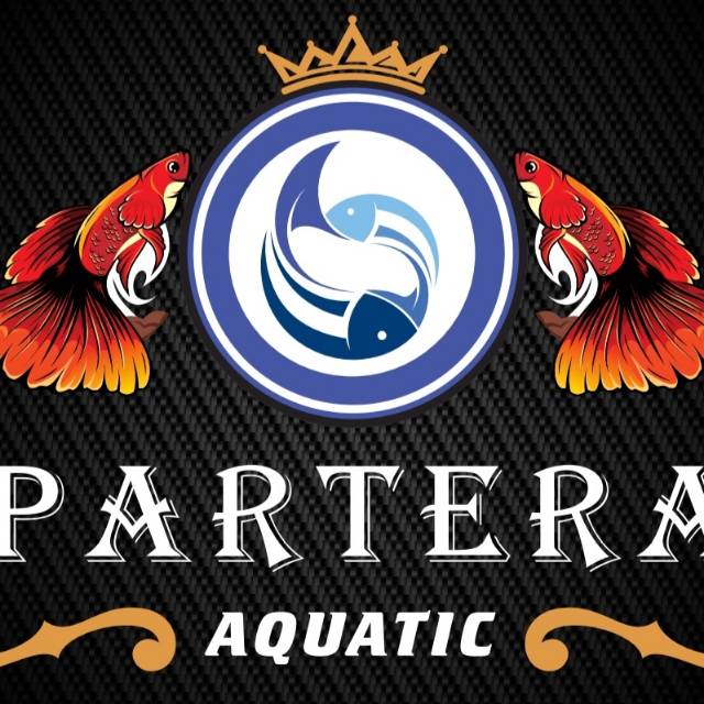 Produk Partera Aquatic | Shopee Indonesia