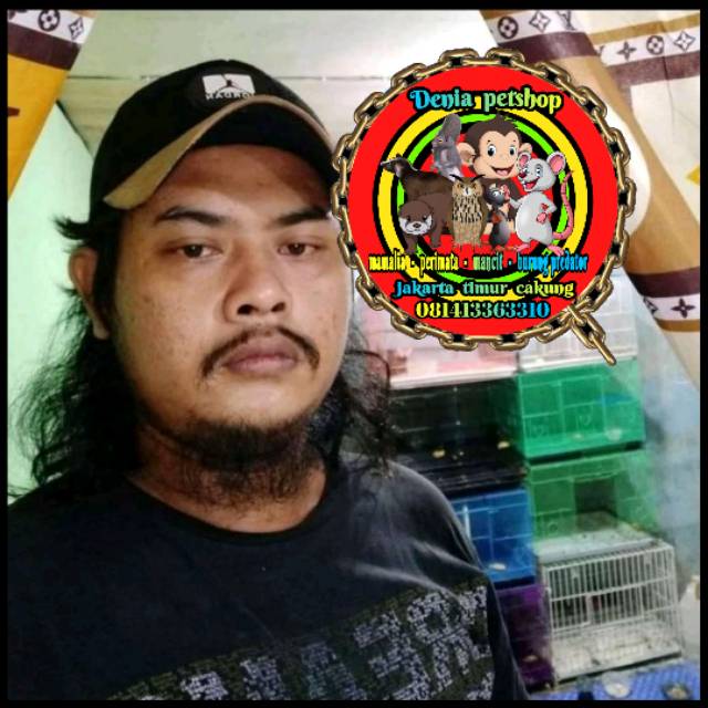 Produk Ade sofyan | Shopee Indonesia